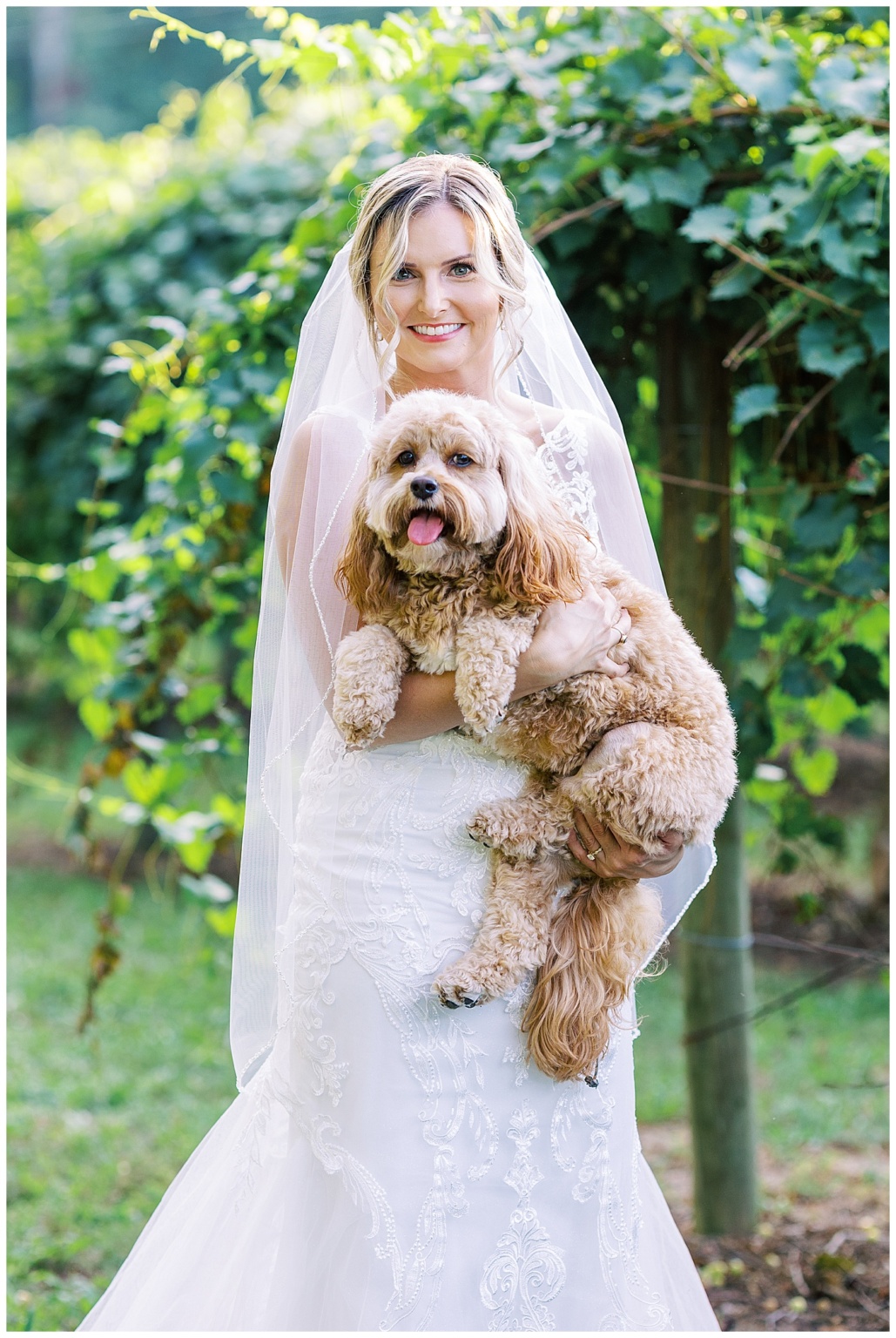 Gregory Vineyards Bridal Session in Angier, North Carolina – Liz ...