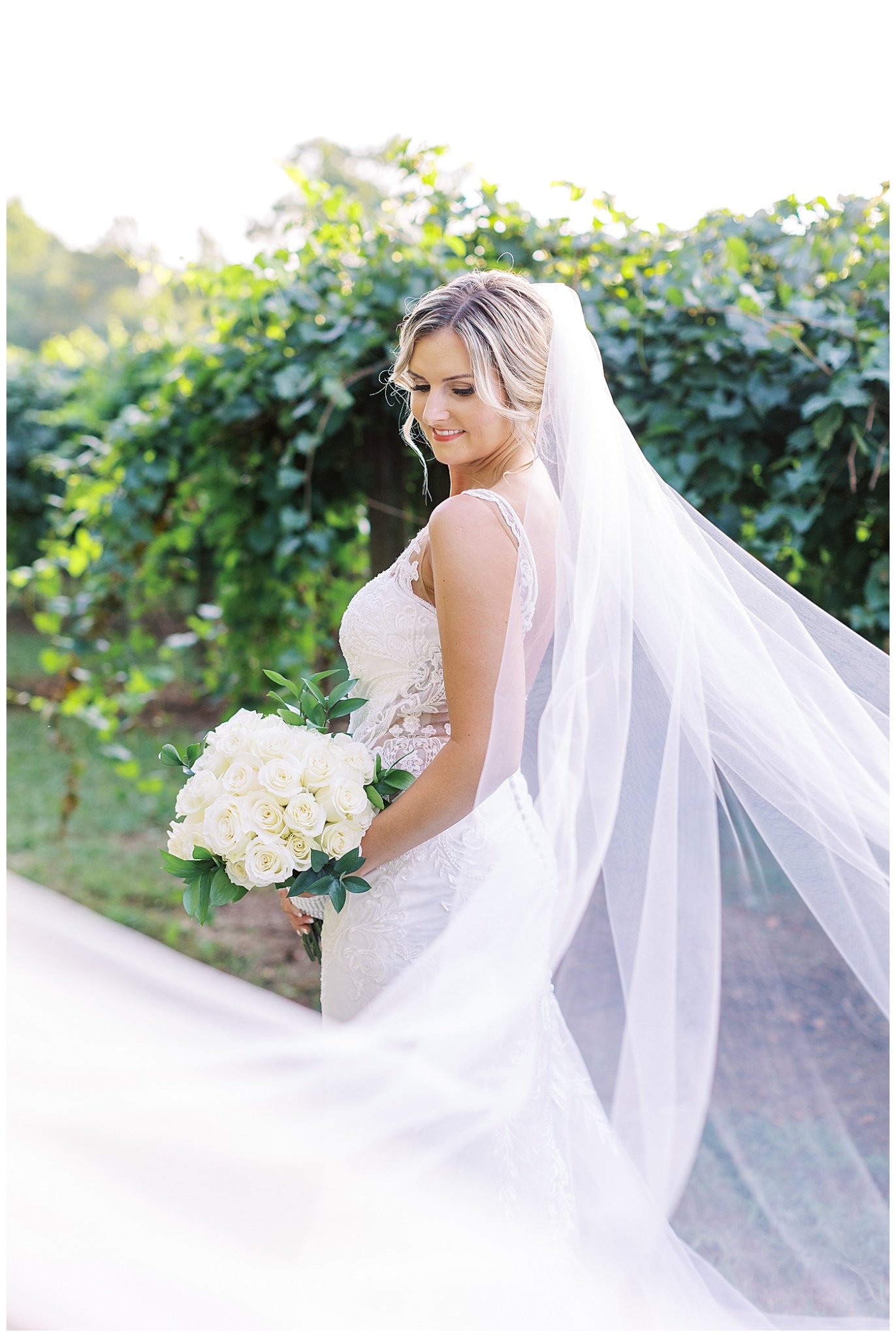 Gregory Vineyards Bridal Session in Angier, North Carolina – Liz ...